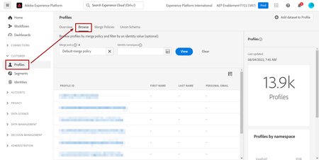 Access AEP as a Database - The Digital Marketing Architect